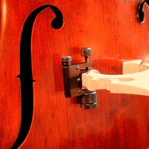 Realist SoundClip Bass by David Gage - Bass Bags