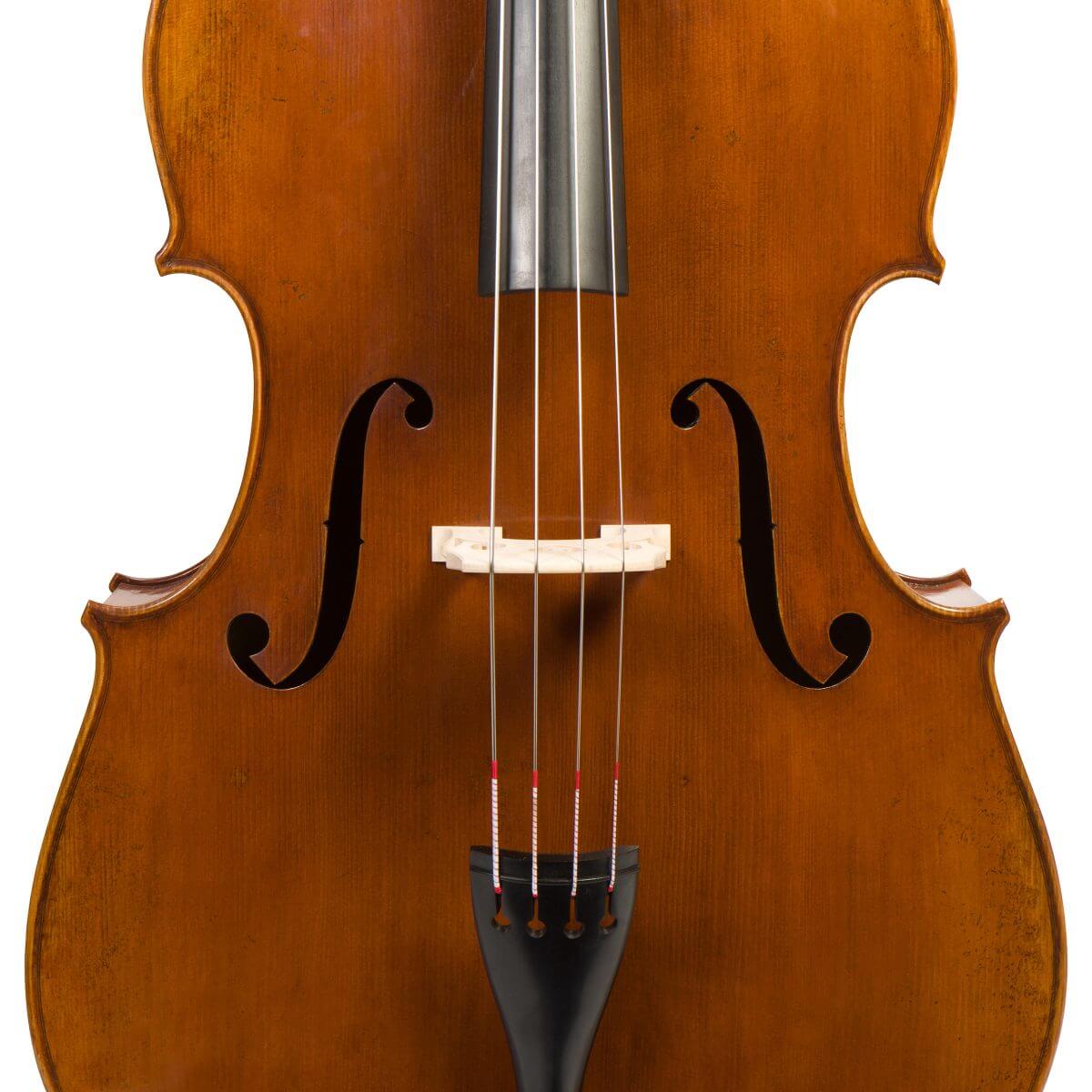Double Bass String Buying Guide - Bass Bags