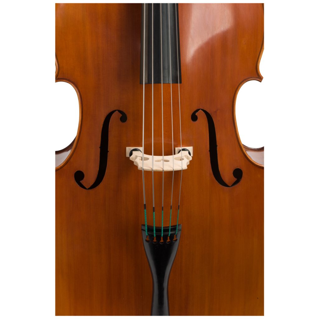 Eastman VB200 5 String Double Bass 7/8 Size - Bass Bags