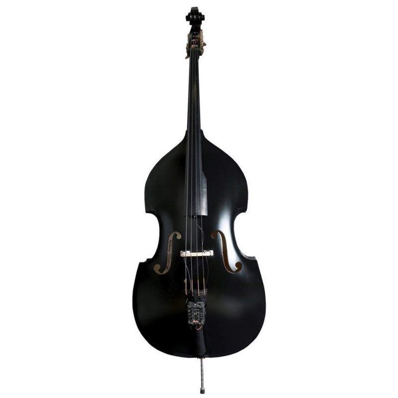 Eastman VB200 5 String Double Bass 7/8 Size - Bass Bags