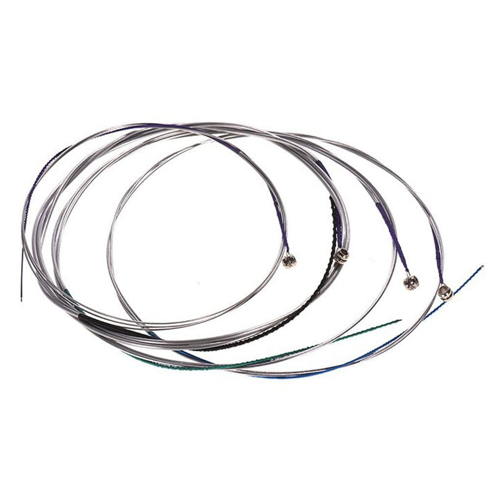 Instrument Strings | Bass Bags