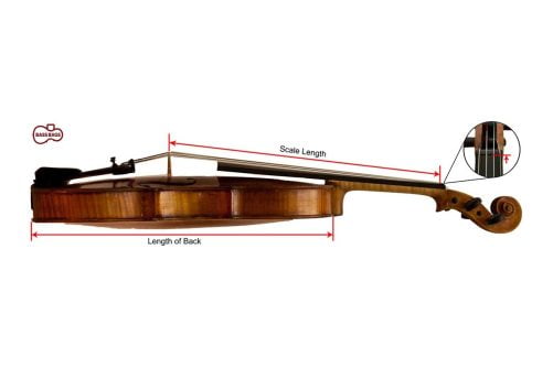 How to Measure Your Violin to Determine the Size - Bass Bags